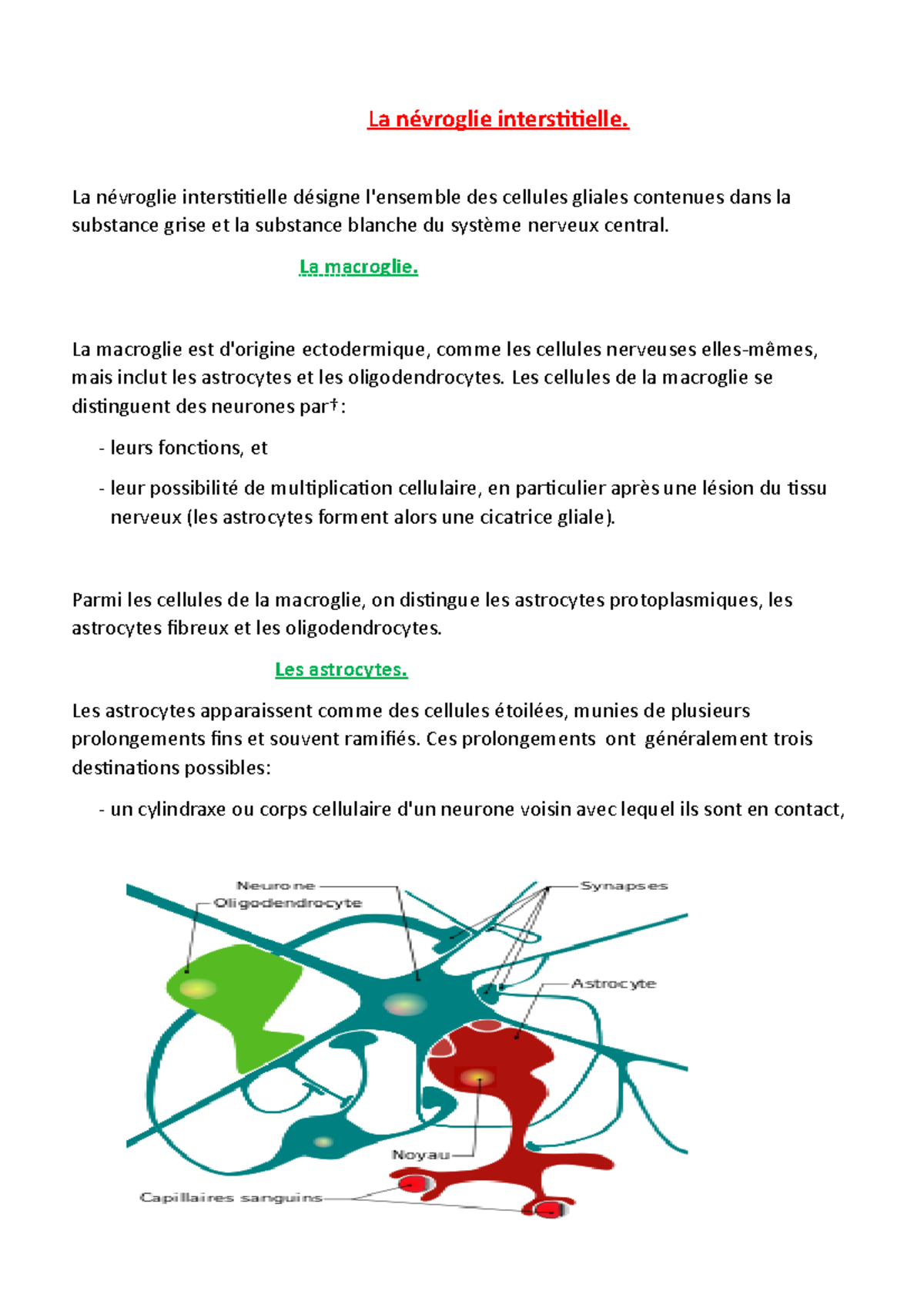La névroglie interstitielle - La névroglie interstitielle désigne l ...