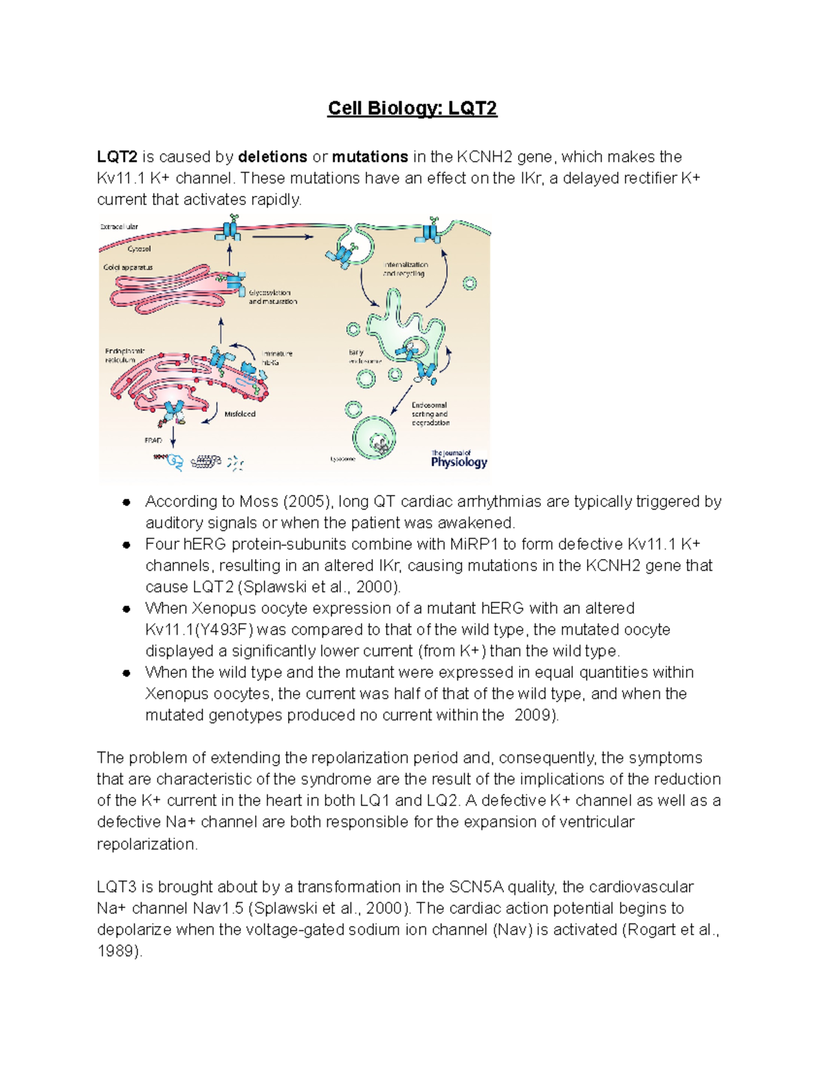 Cell Biology LQT2 - Cell Biology: LQT LQT2 is caused by deletions or ...