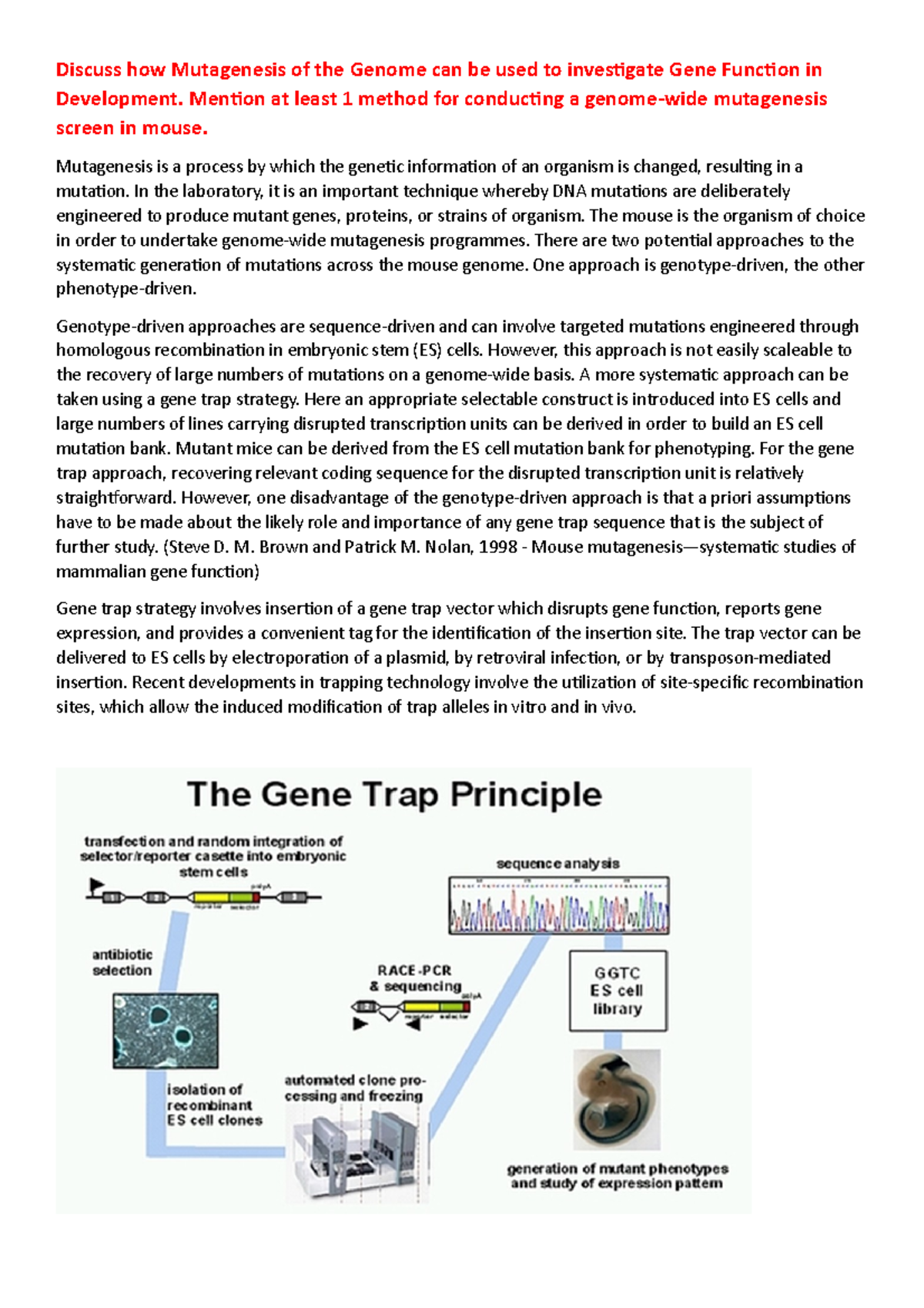 Mutagenesis techniques - Discuss how Mutagenesis of the Genome can be ...