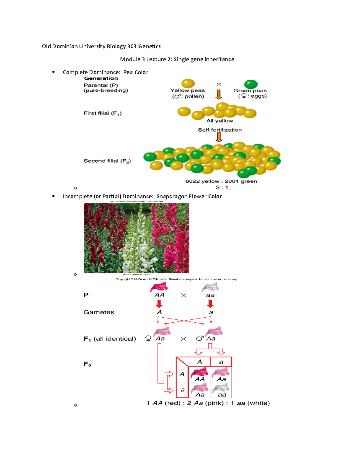 Module 3 Lecture 2 - Old Dominion University Biology 303 Genetics ...