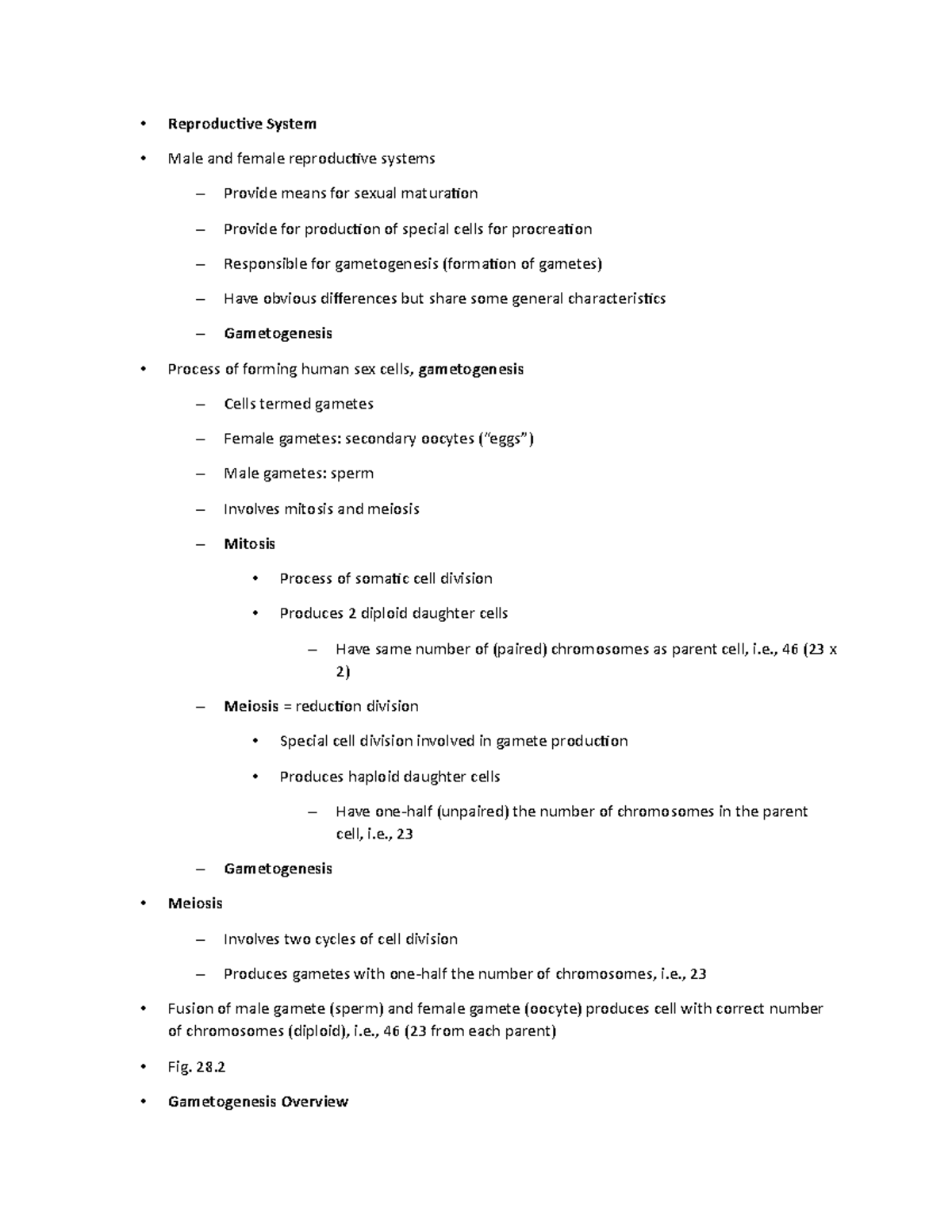 Chapter 28 Anatomy - Lecture notes 28 - Reproductive System Male and ...