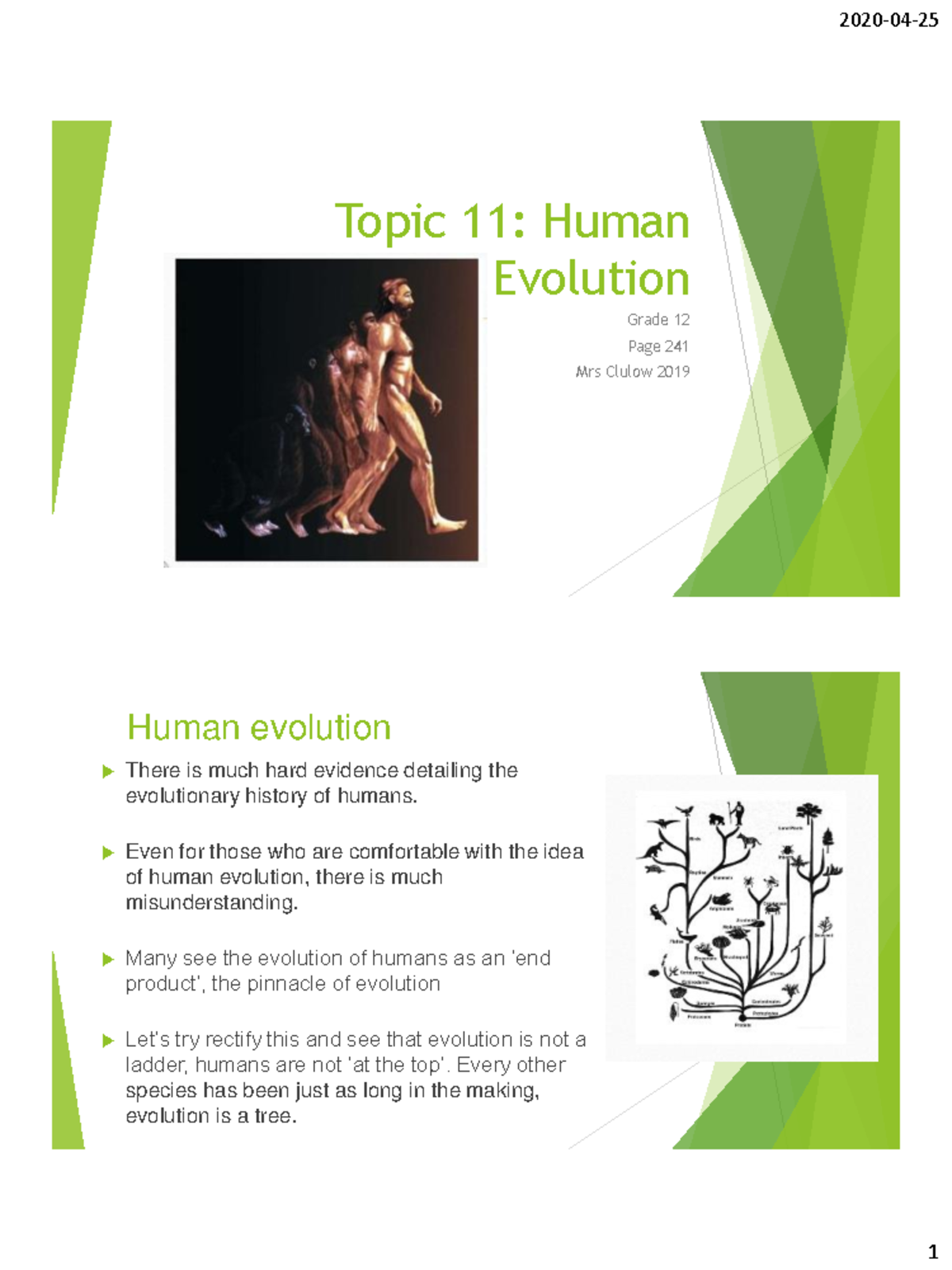 Human evolution cl 2019 - Topic 11: Human Evolution Grade 12 Page 241 ...