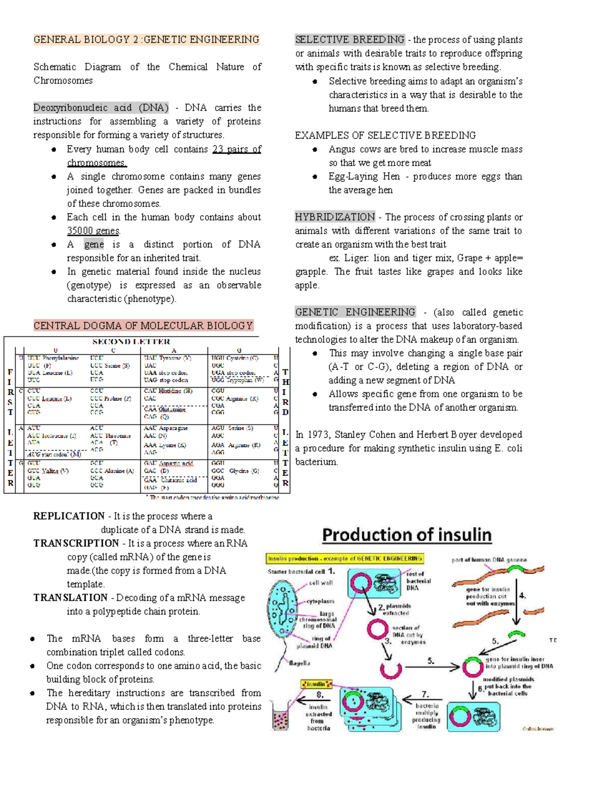 General Biology 2 - Genetic Engineering - GENERAL BIOLOGY 2 :GENETIC ...