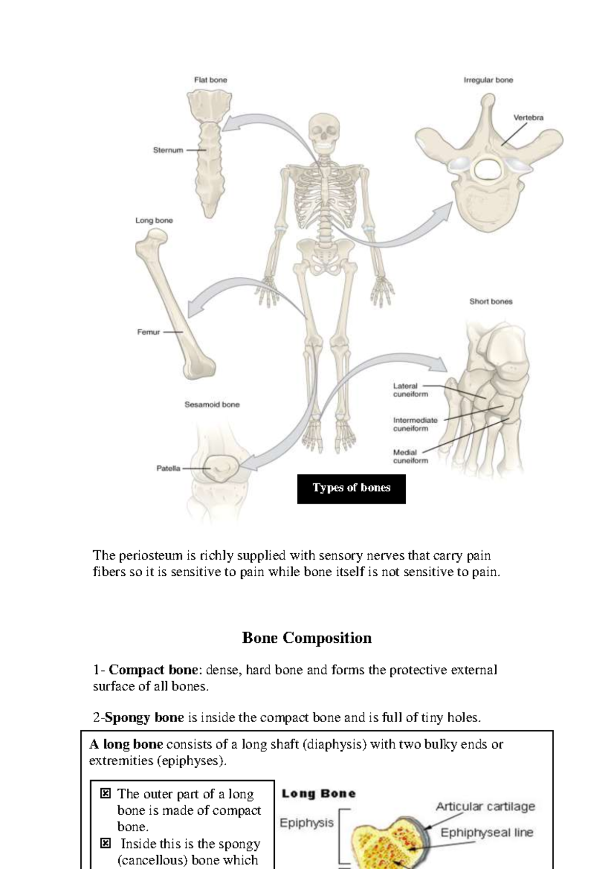 Bone composition - Bone compesition types and its clinical histology ...