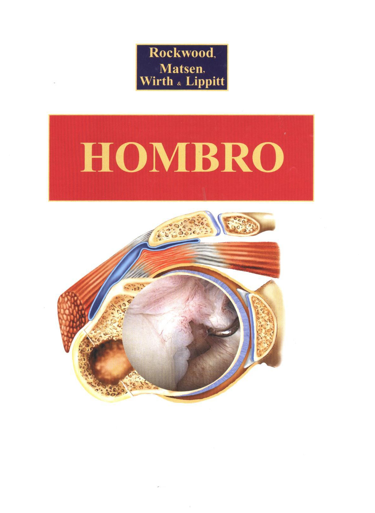 Biomecanica y anatomia funcional Unidad 14 Hombro-Rockwood-Cap 6 ...