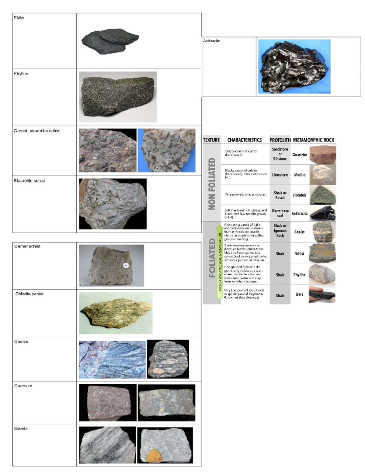 Metamorphic Rock Study Guide - 1. Rocks can undergo metamorphism in ...