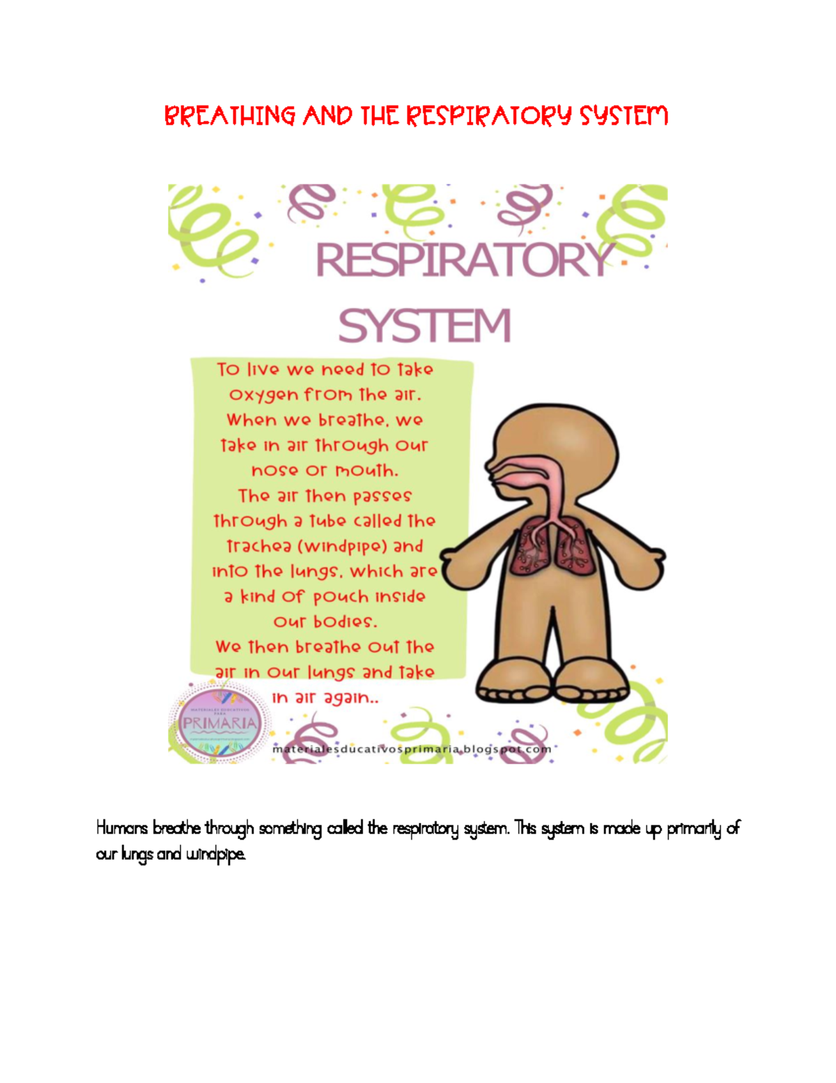 Breathing AND THE Respiratory System - BREATHING AND THE RESPIRATORY ...