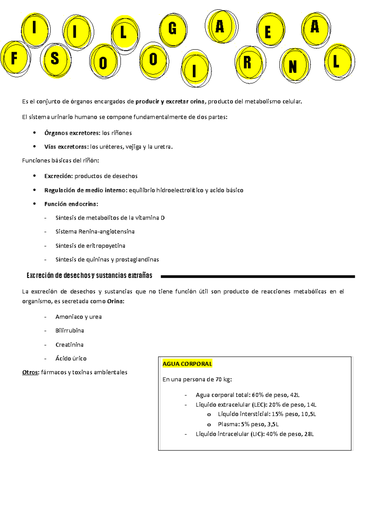 Unidad 8 Fisio Final Amarillo - Es el conjunto de órganos encargados de ...