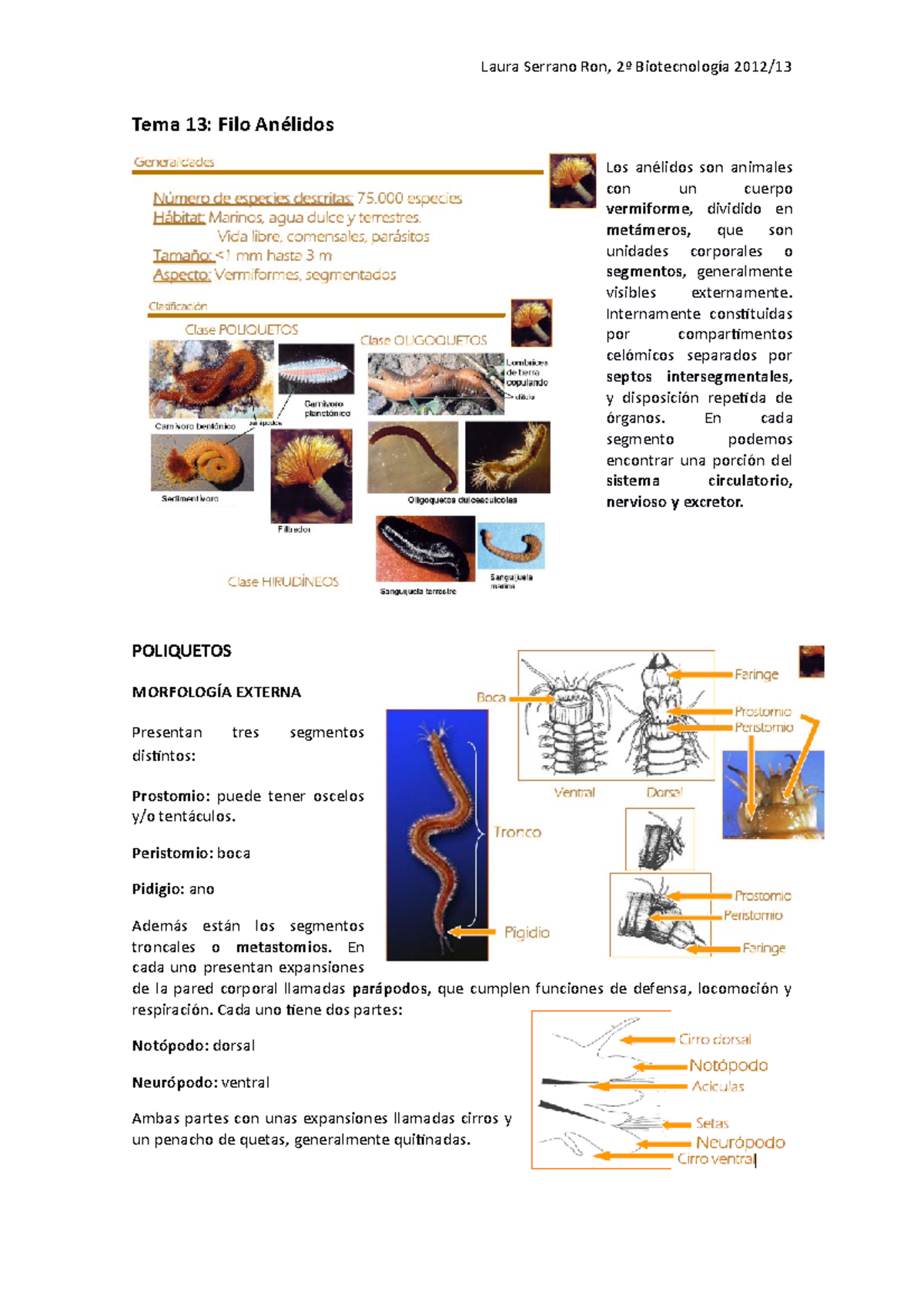 Recursos Animales 3 - Apuntes 13-15 - Laura Serrano Ron, 2º ...