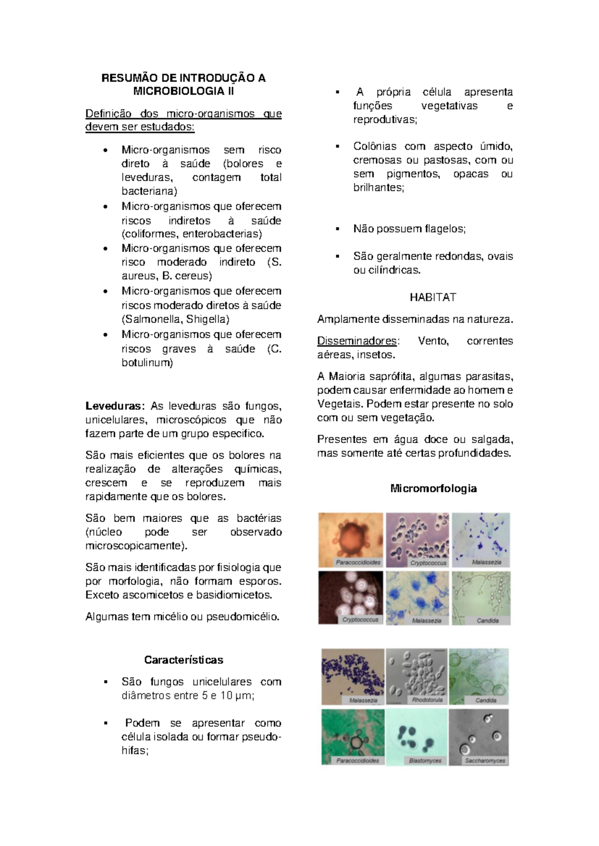 Resumão DE Introdução A Microbiologia II - RESUMÃO DE INTRODUÇÃO A ...