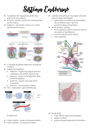 Histologia - TGI - Histologia O plexo de Meissner, também conhecido ...