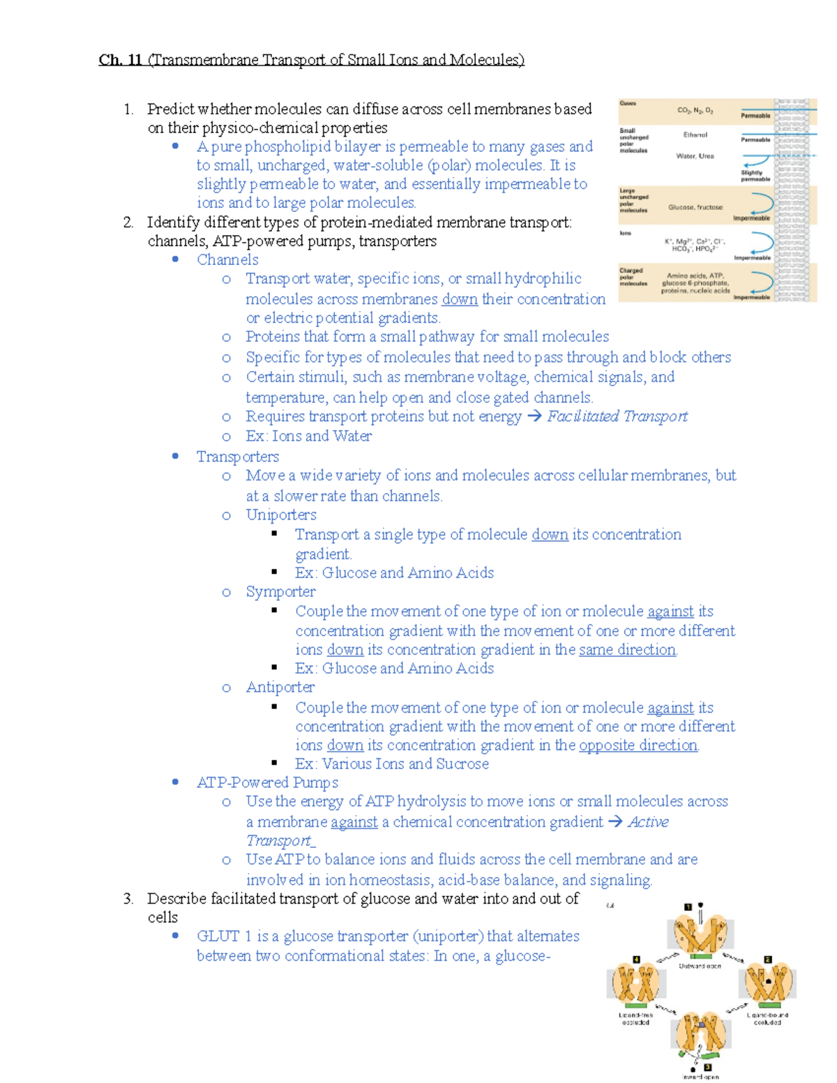 11 - Notes on Transport Ions and Small Molecules - Ch. 11 ...