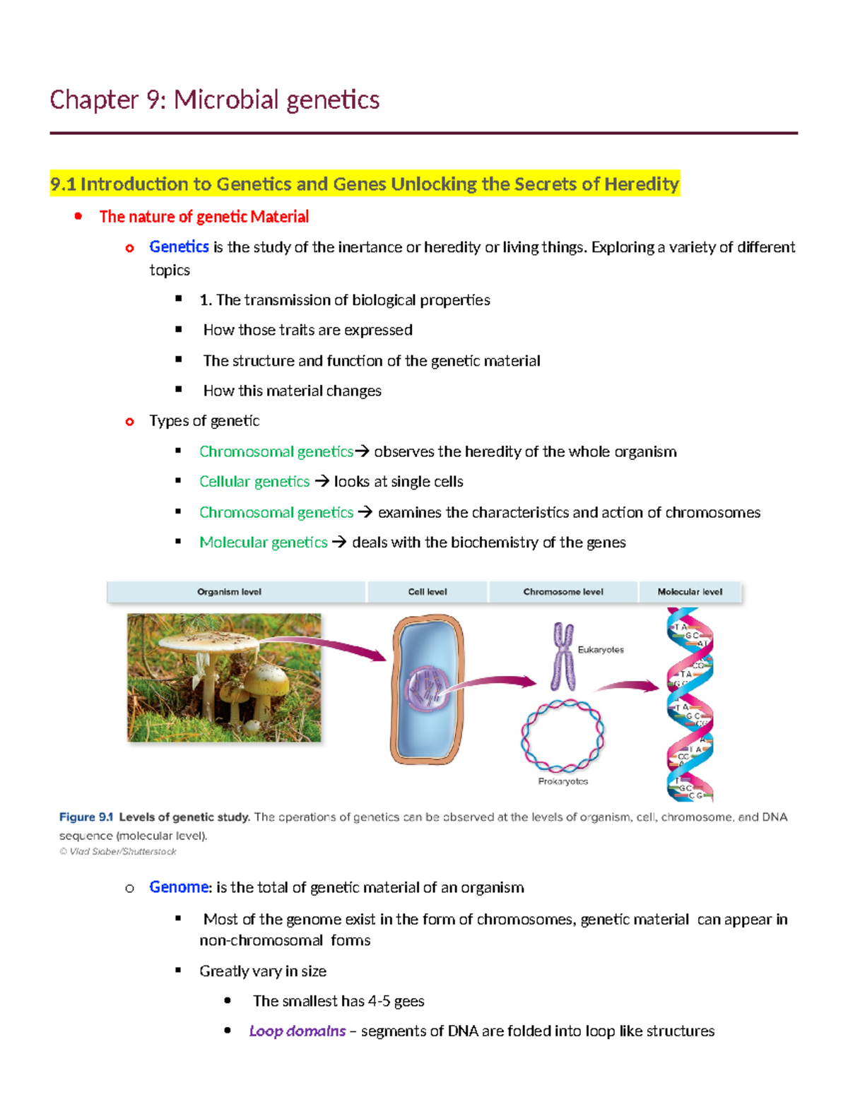 Chapter 9 - Summary Microbiology W/Lab - Chapter 9: Microbial genetics ...