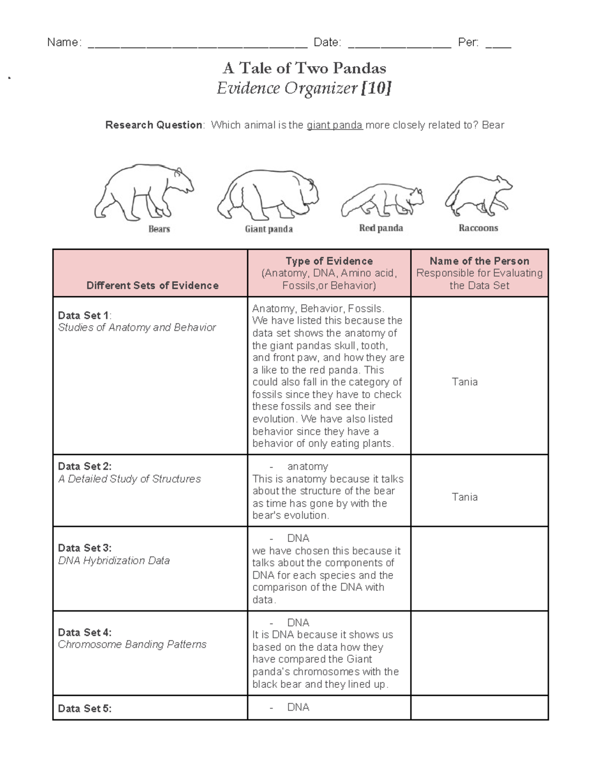 - Copy of 2023 A Tale of Two Pandas Evidence Organizer on 2024-06-05 16 ...