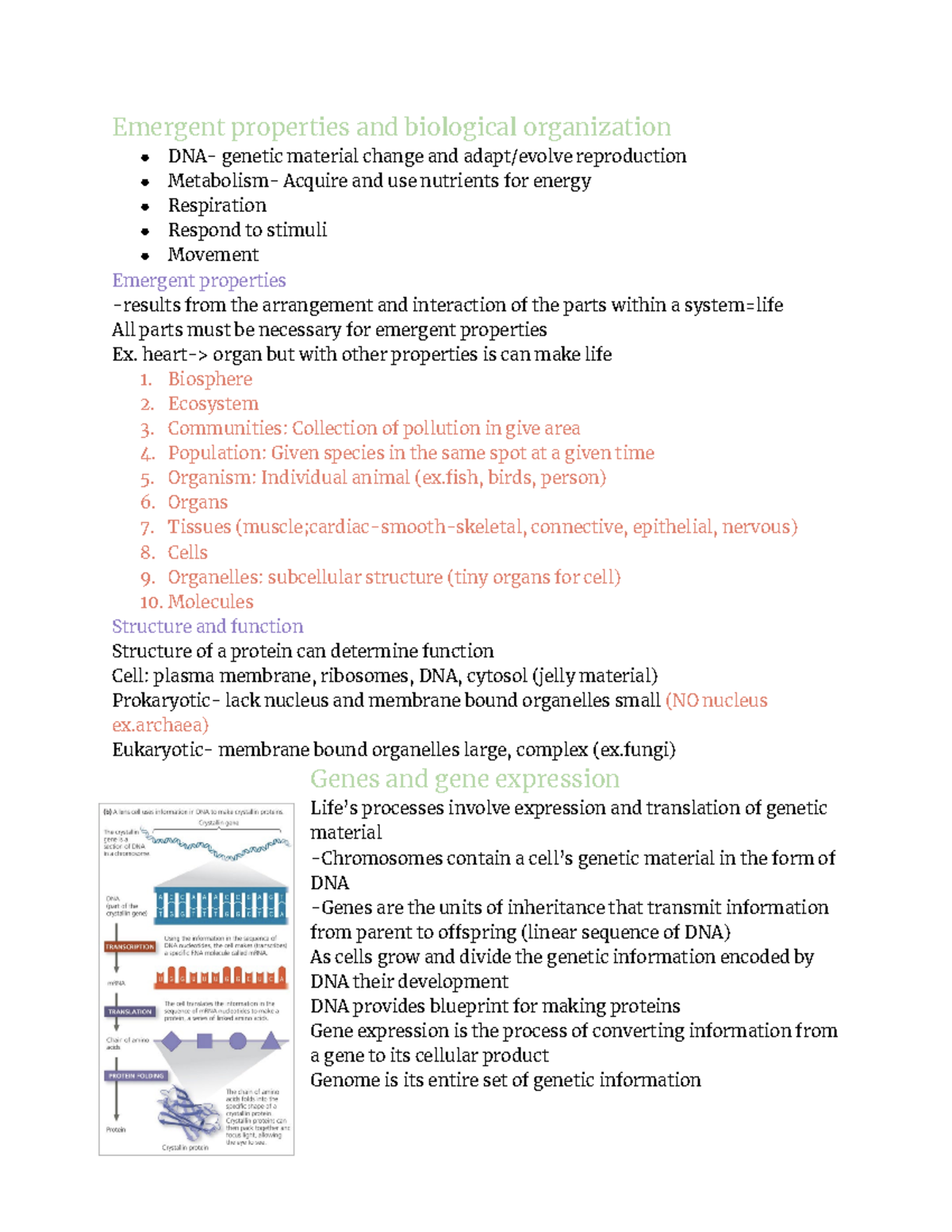Emergent Properties 1 Chapter 1 Lecture Notes On Life And Evolution