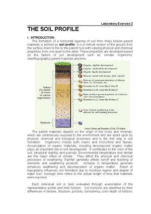 Laboratory Exercise 2 - soils activity - Laboratory Exercise 2 THE SOIL ...