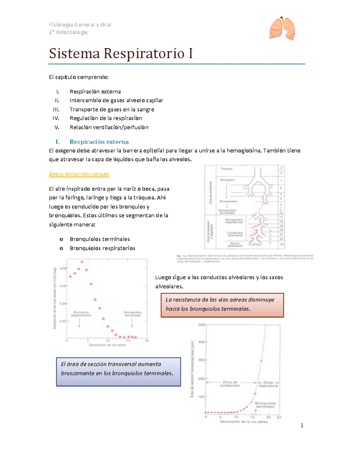 Sistema Respiratorio I - Warning: TT: undefined function: 32 Warning: TT: undefined function: 32 ...