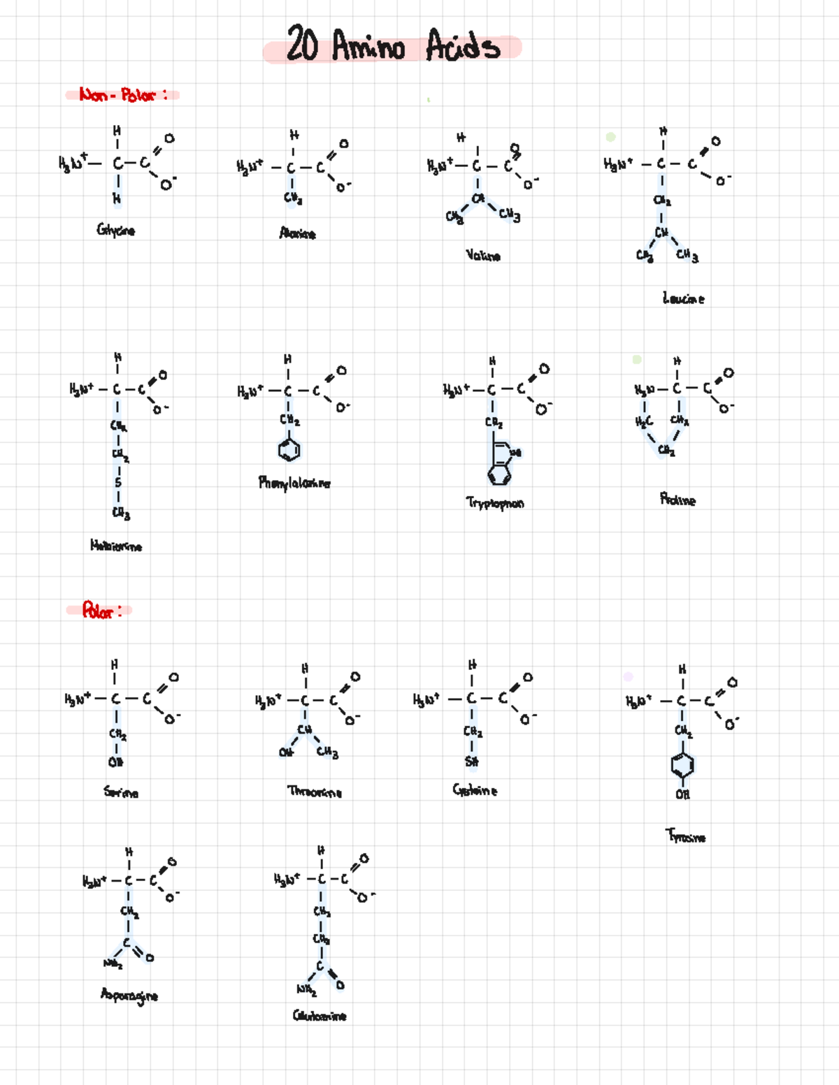 The 20 Amino Acids - 20 Amino Acids Non-Polar : ↑ H O H O It O It O ...