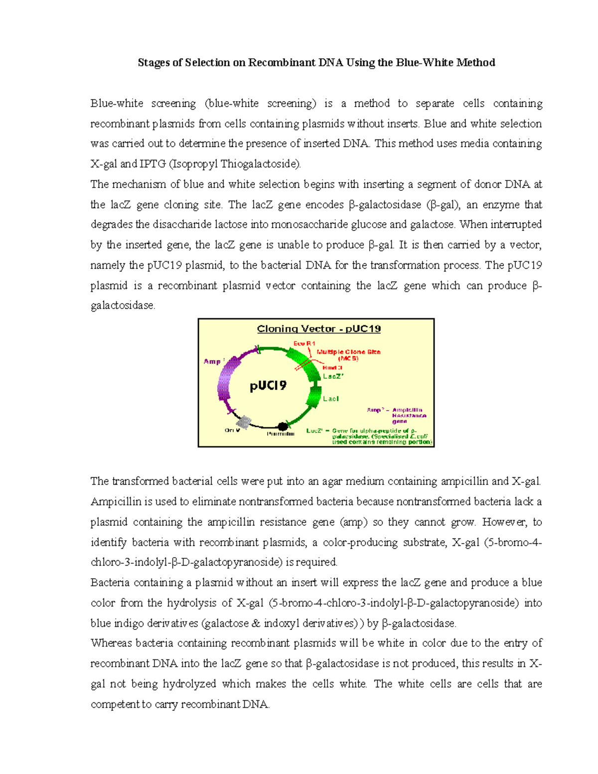 Selection on Recombinant DNA - Blue and white selection was carried out ...