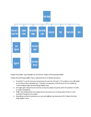 Drone Tech Engineering Organization Chart - DroneTech Engineering Organization Chart 1 Develop ...