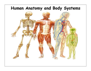 IV-13 Test - Module 12 Health Conditions - Module 12 – Health ...