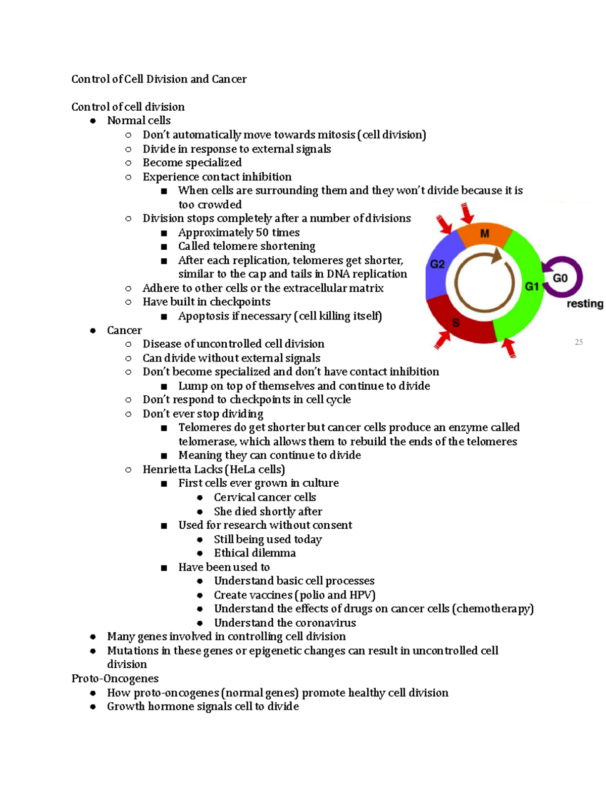 Control of cell division and cancer - BIOL 125 - Studocu