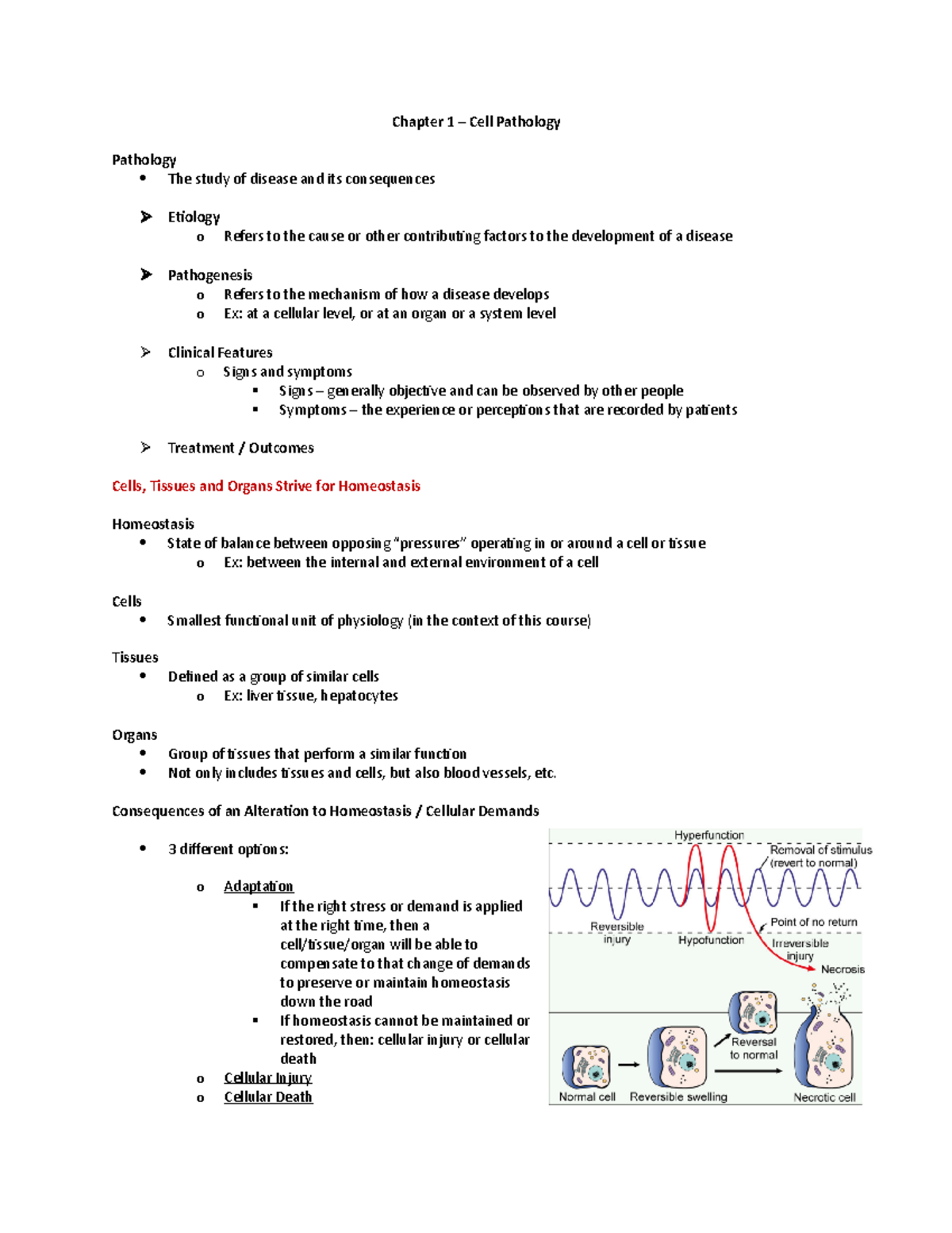 Pathology in Sport Med Ch 1-3 Notes - Chapter 1 – Cell Pathology ...