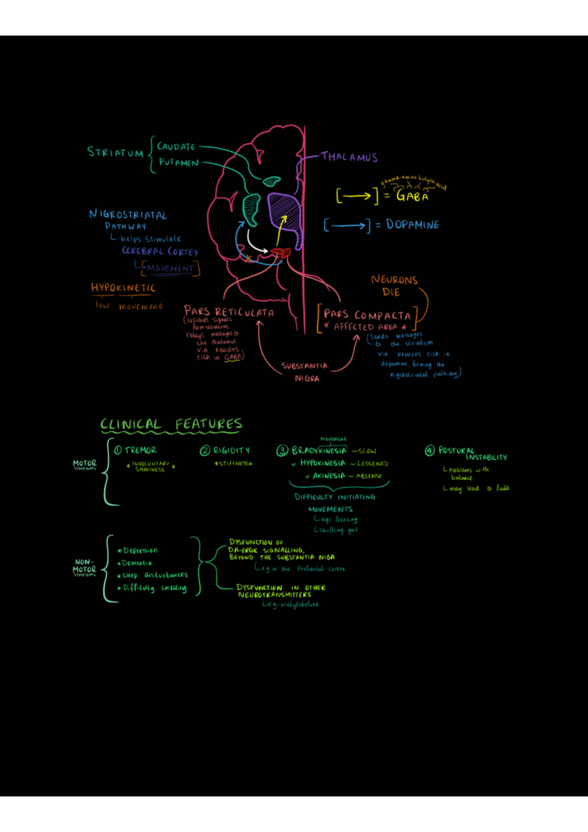 Upload clinical features of PD - Medical Doctor - Studocu