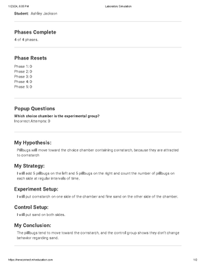 What are the 3 key steps - lab work - Jordan bailey 11/15/ What are the ...