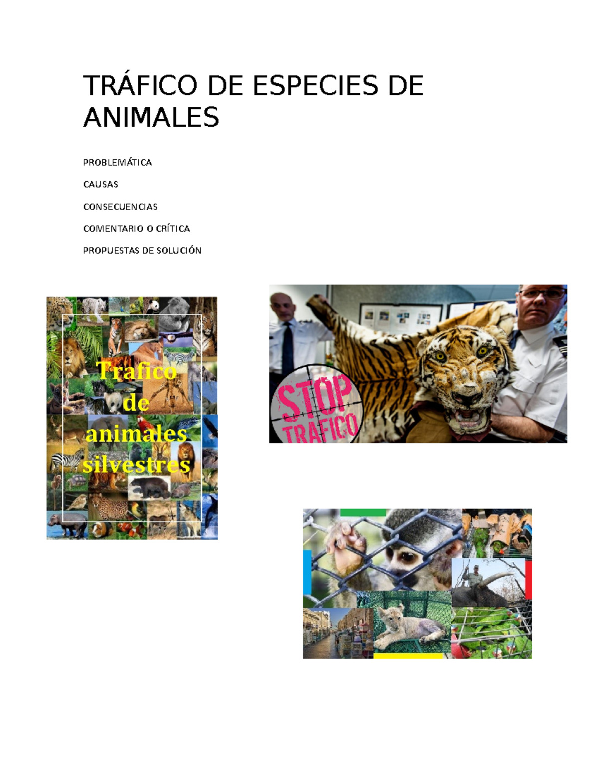 Tráfico DE Especies DE Animales - TRÁFICO DE ESPECIES DE ANIMALES ...