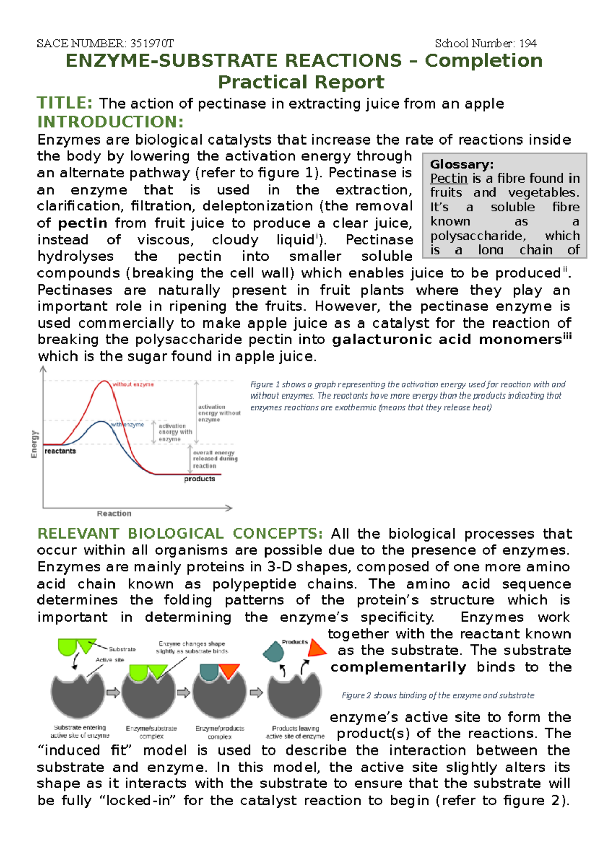 Enzyme Reactions - Practical report - ENZYME-SUBSTRATE REACTIONS ...