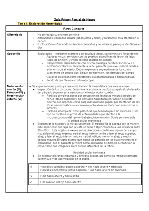 Neuro 2P - SUEÑO Narcolepsia: Diagnóstico: Polisomnógrafo con múltiples ...