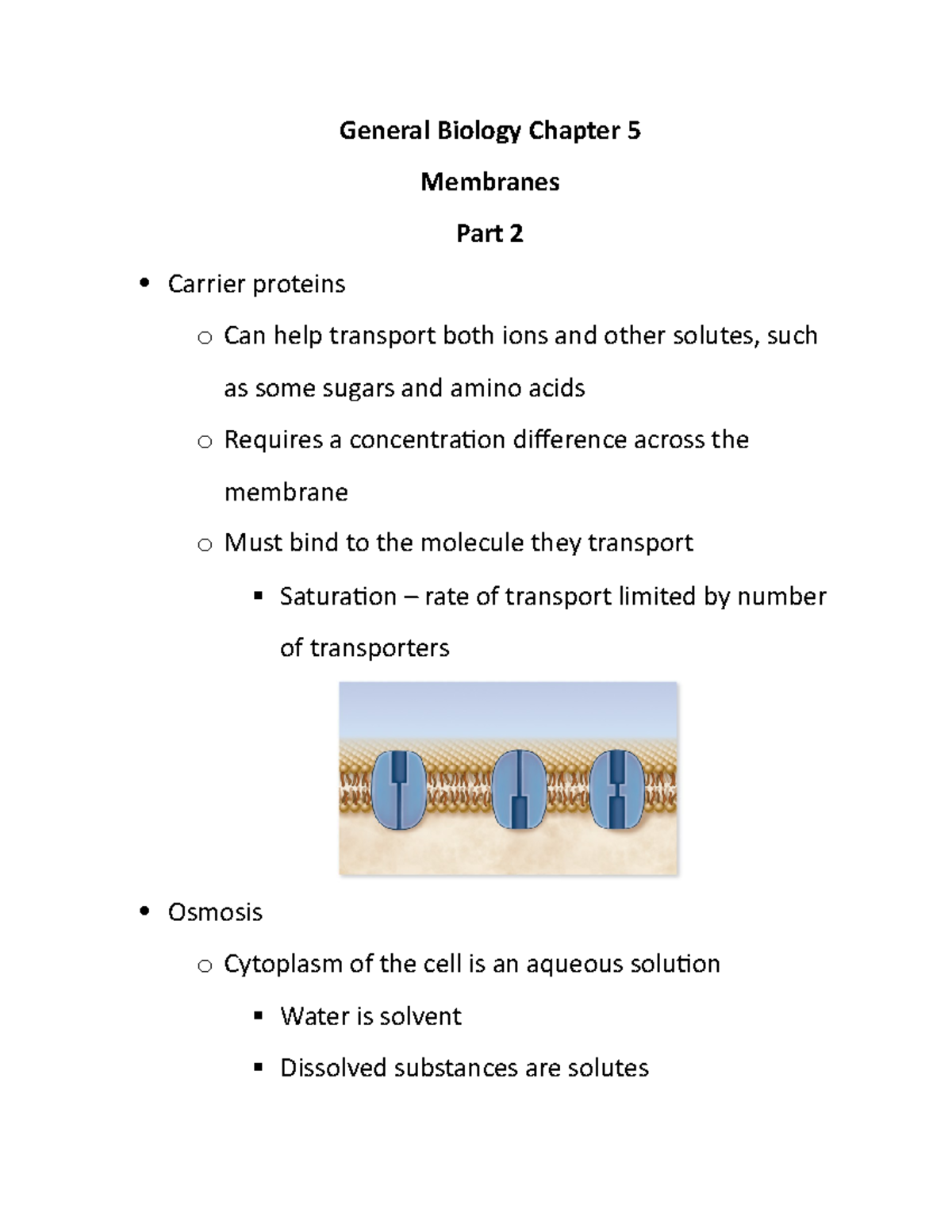 General Biology Chapter 5 Chapter 2 - General Biology Chapter 5 Membranes Part 2 Carrier ...