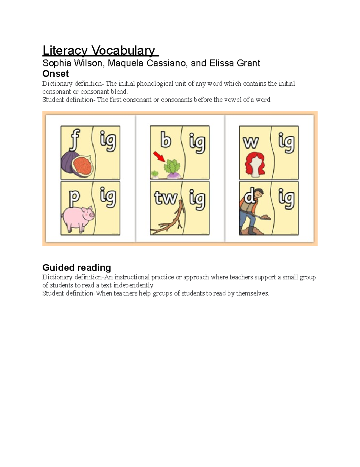 Literacy Vocabulary - Literacy Vocabulary Sophia Wilson, Maquela ...