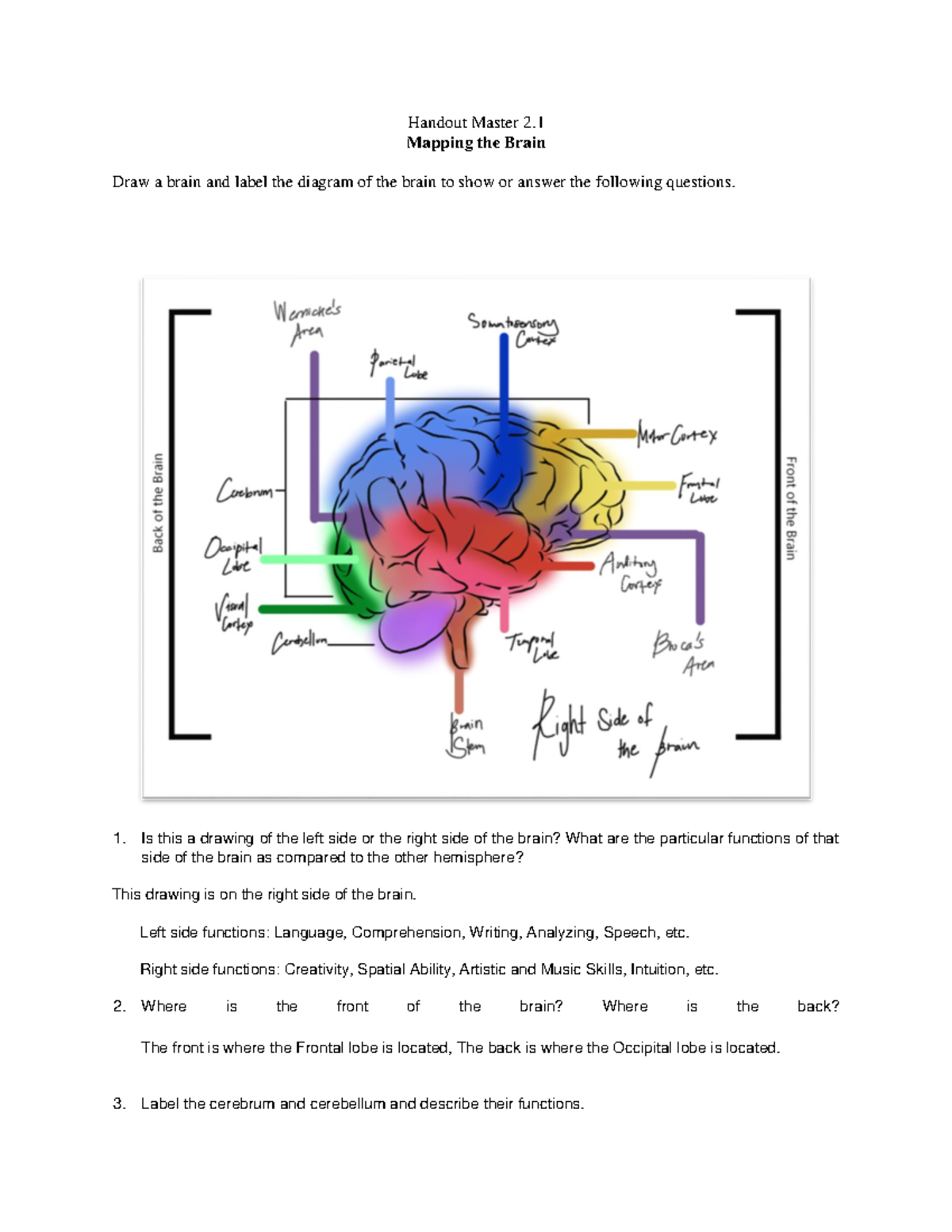 Brain Mapping/Parts of the Brain - Handout Master 2. Mapping the Brain ...