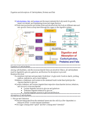 Biochem Lab Report 2 Lipids - Lab Experiment 2 LIPIDS Submitted by ...