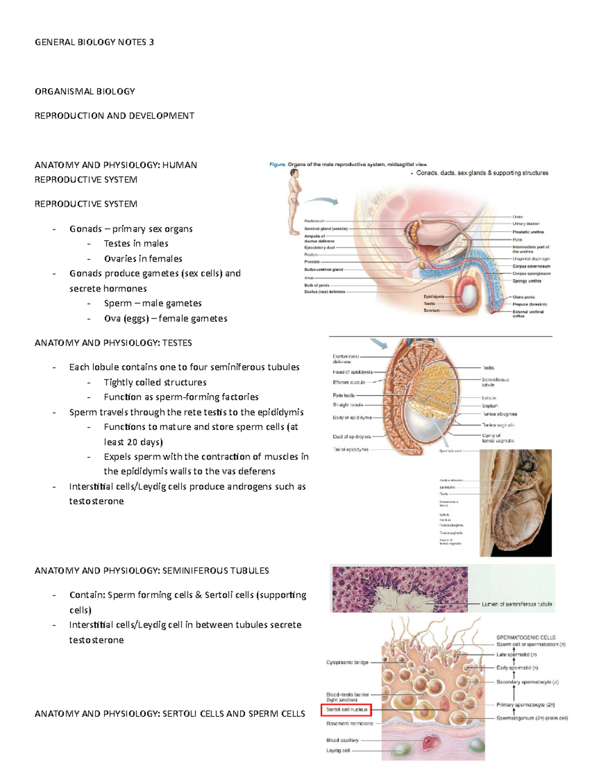 General Biology Notes 3 - GENERAL BIOLOGY NOTES 3 ORGANISMAL BIOLOGY ...