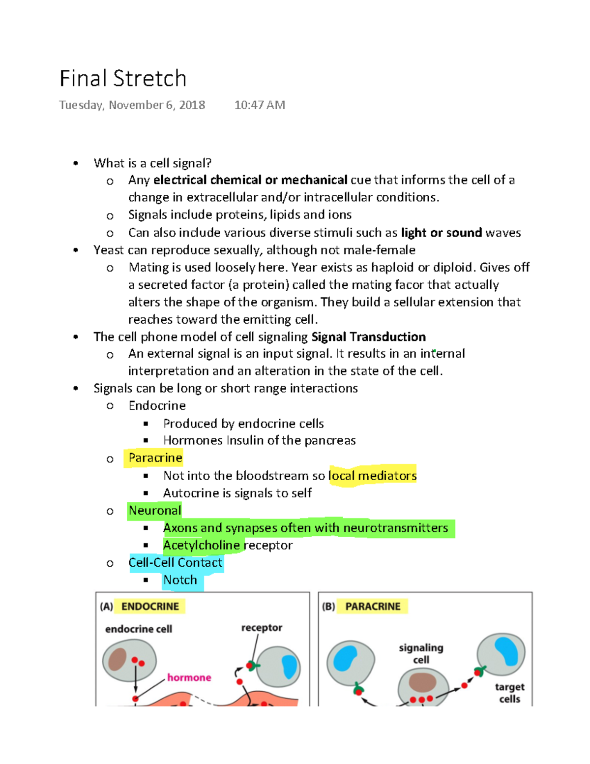 Final Stretch cell - Bailey - What is a cell signal? Any electrical ...