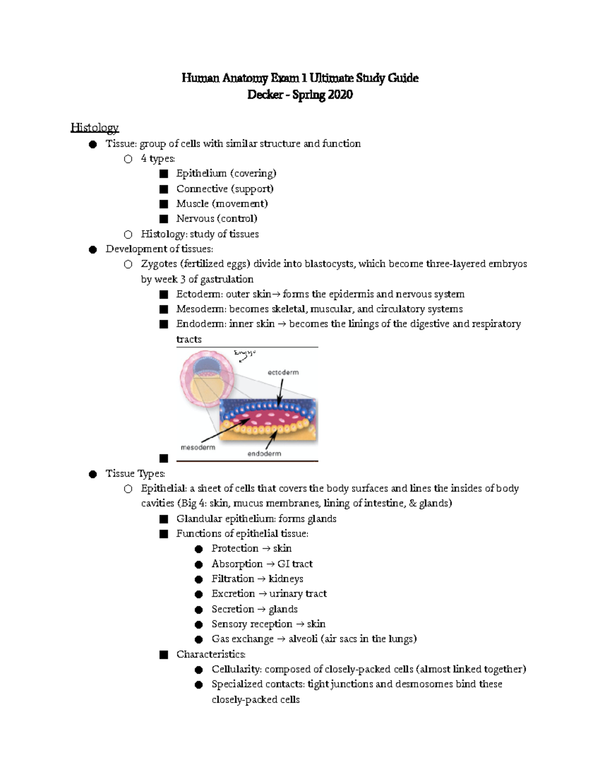 Human Anatomy Exam 1 Ultimate Study Guide - Together, these two lamina ...