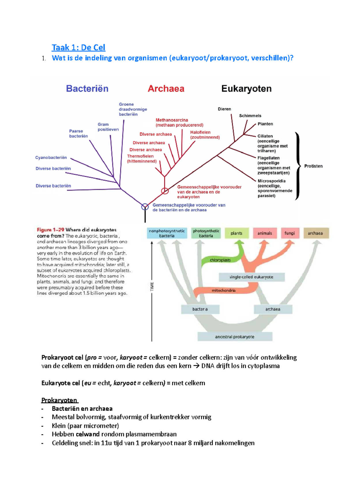 Taak 1- Celorganellen - Taak 1: De Cel 1. Wat is de indeling van ...