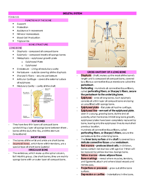 Elbow Tests - Test Name Key Points Movement Picture Lateral Pivot Shi ...