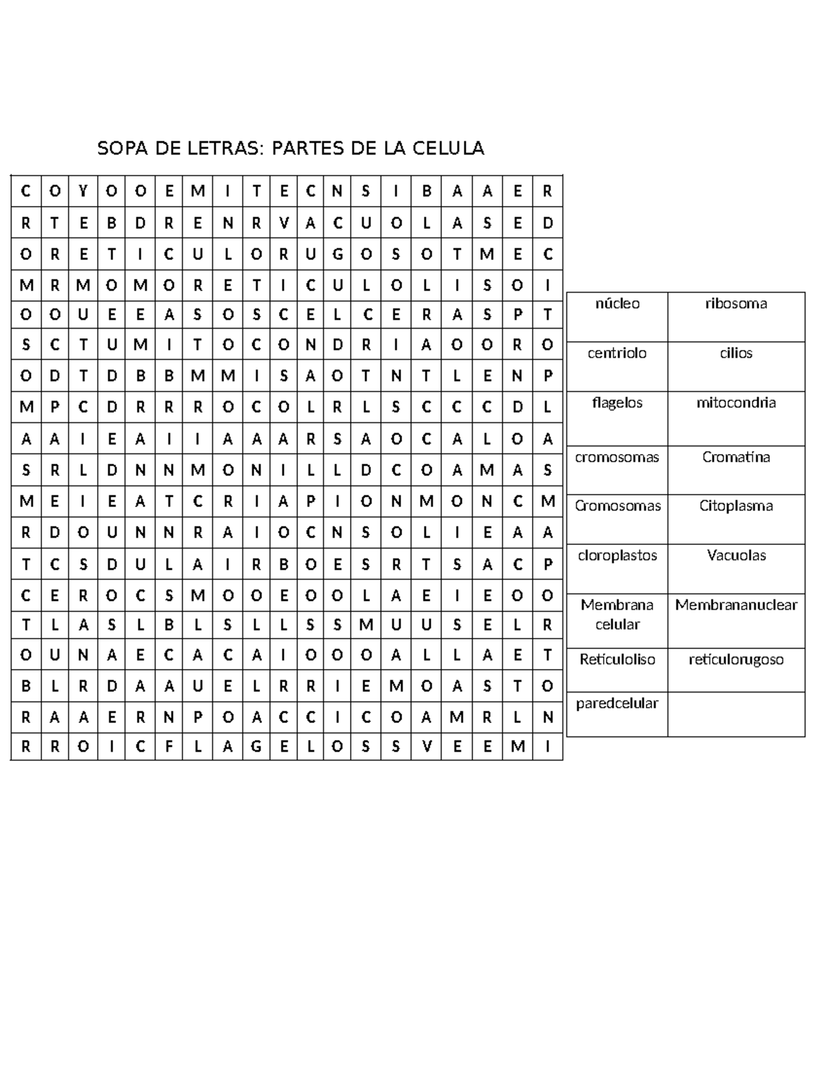 Impri SOPA DE Letras - INFORMATIVO - SOPA DE LETRAS: PARTES DE LA ...