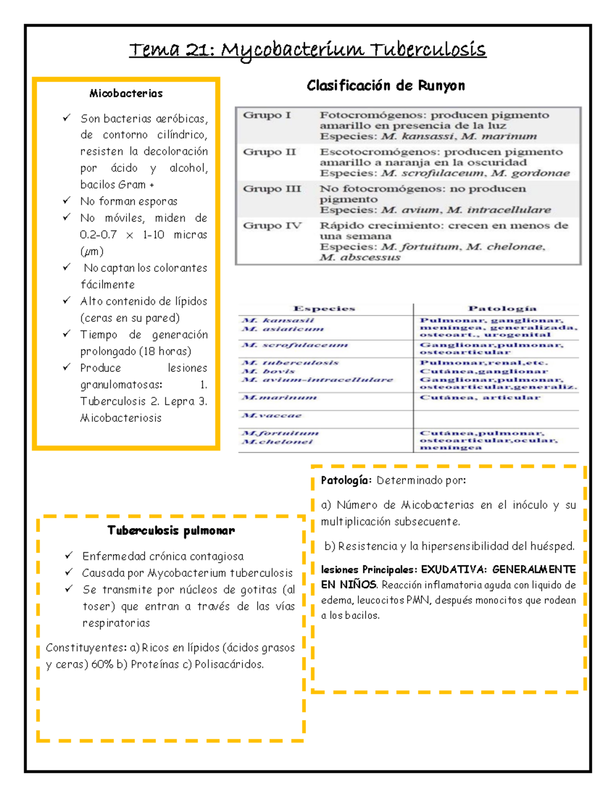 Mycobacterium Tuberculosis - Tema 21: Mycobacterium Tuberculosis ...