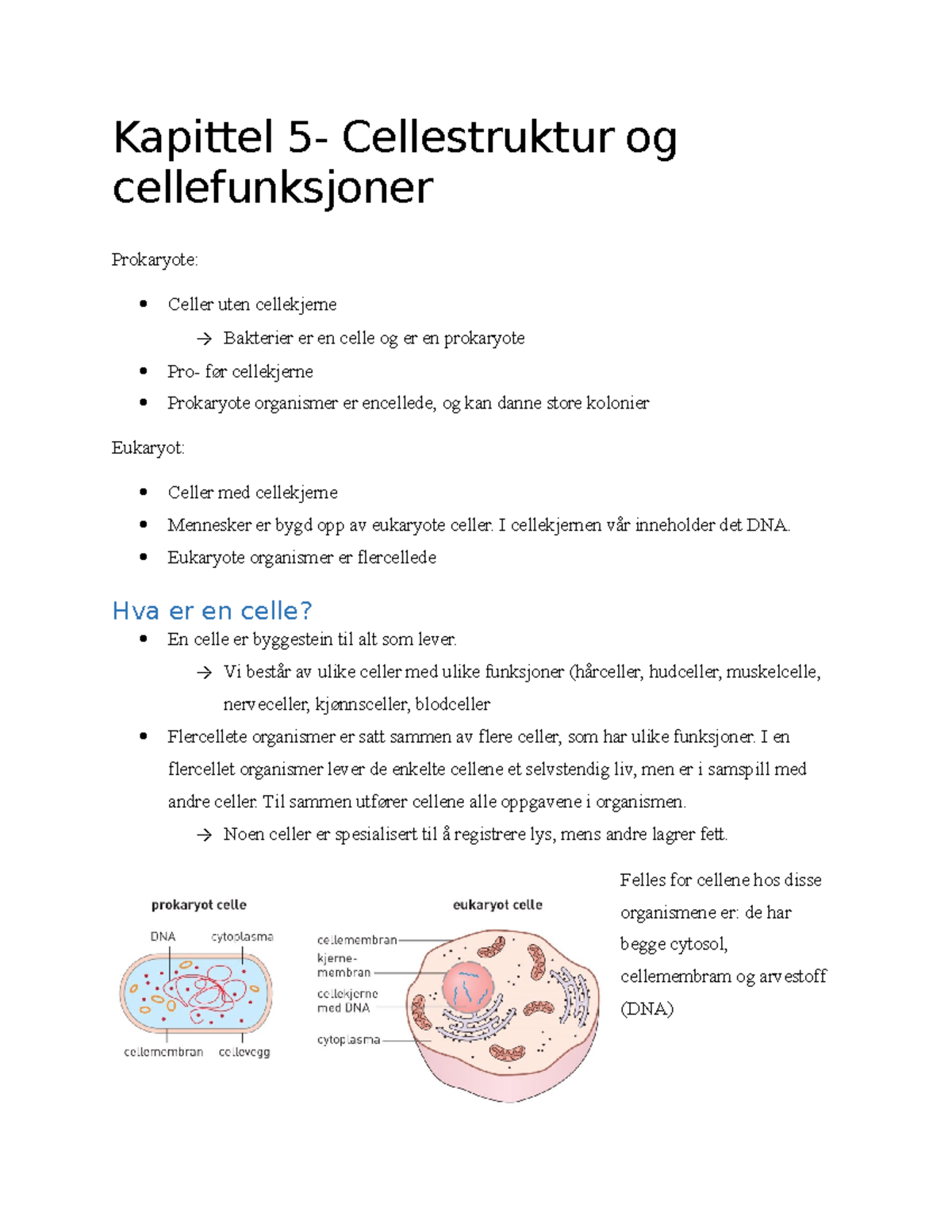 Kapittel 5- cellestruktur og cellefunksjoner - Kapittel 5- Cellestruktur og cellefunksjoner ...