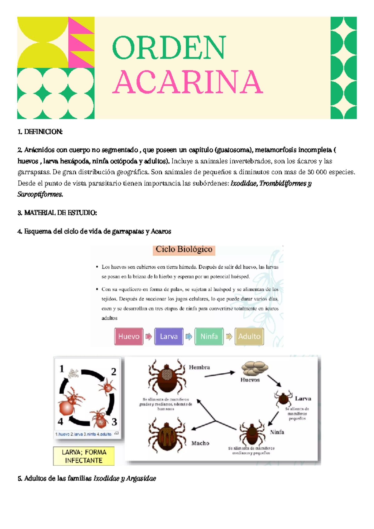 Orden Acarina - 1. DEFINICION: Arácnidos con cuerpo no segmentado , que ...