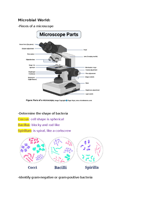 BIOL Lab 4 - Contains Graphs, Notebook Questions, and Discussion ...
