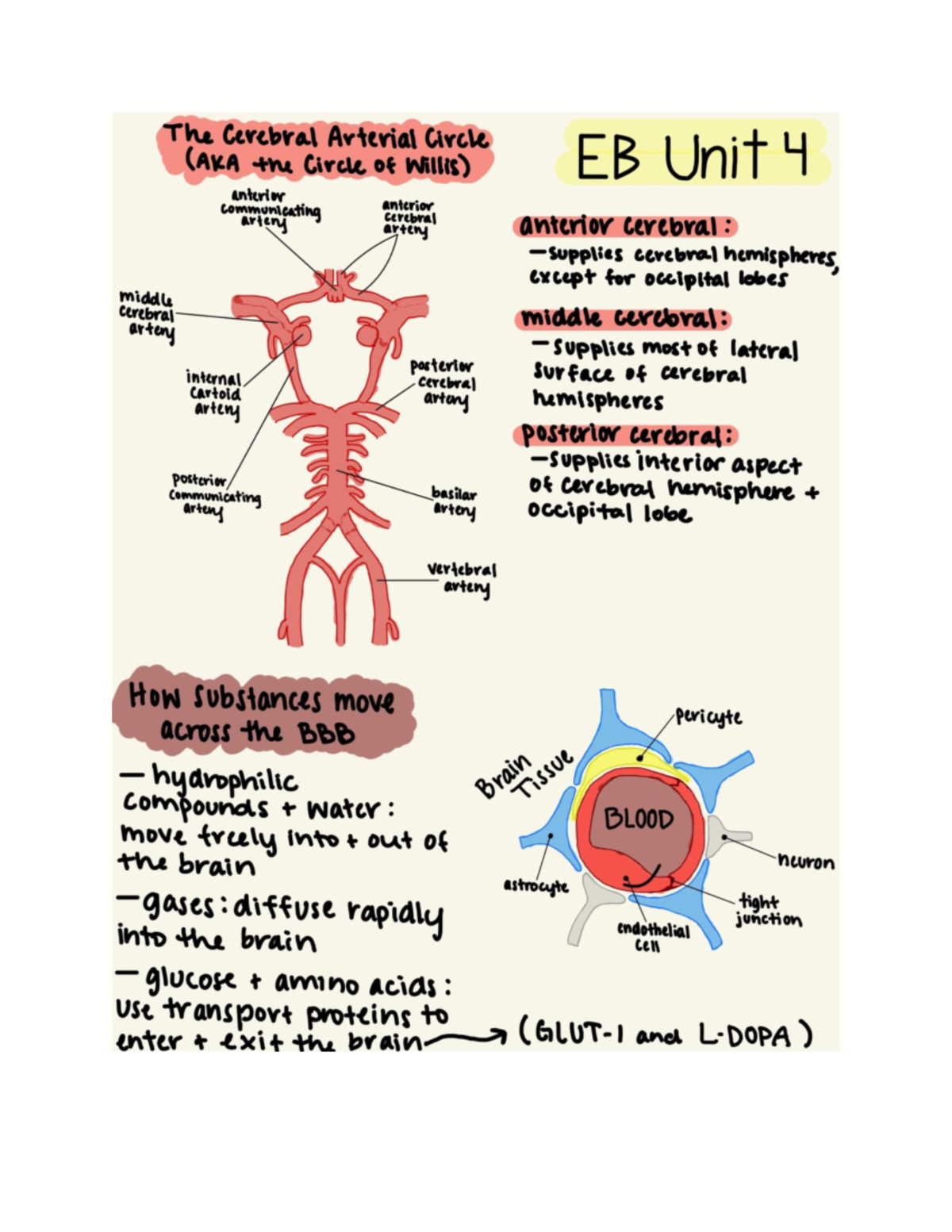 EB Unit 4 - Outlines of the textbook and important material to be known ...