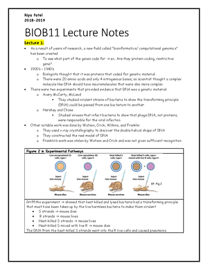 Lab 1 Bioinformatics Lab Slides 2022 - BIO130 Lab Module 1 Mastering Bioinformatics Objectives ...