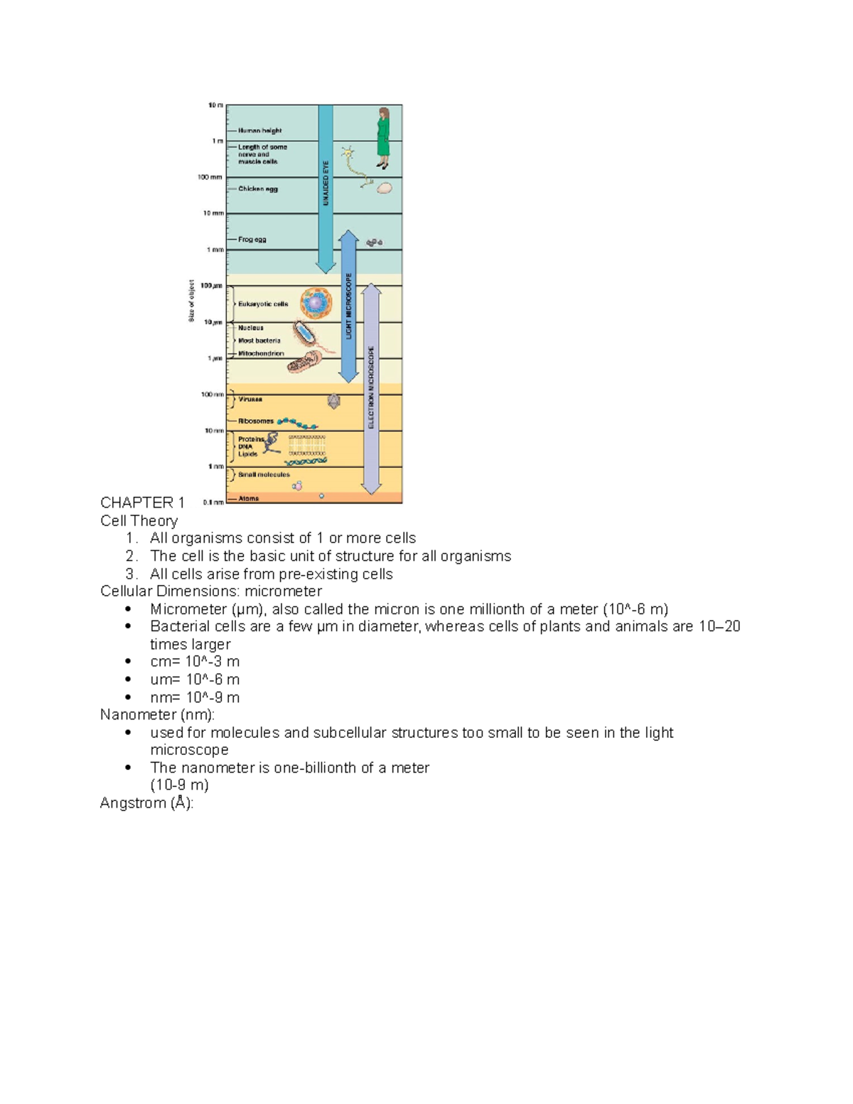 Cell bio exam 1 - Exam 1 sbjects - CHAPTER 1 Cell Theory 1. All ...