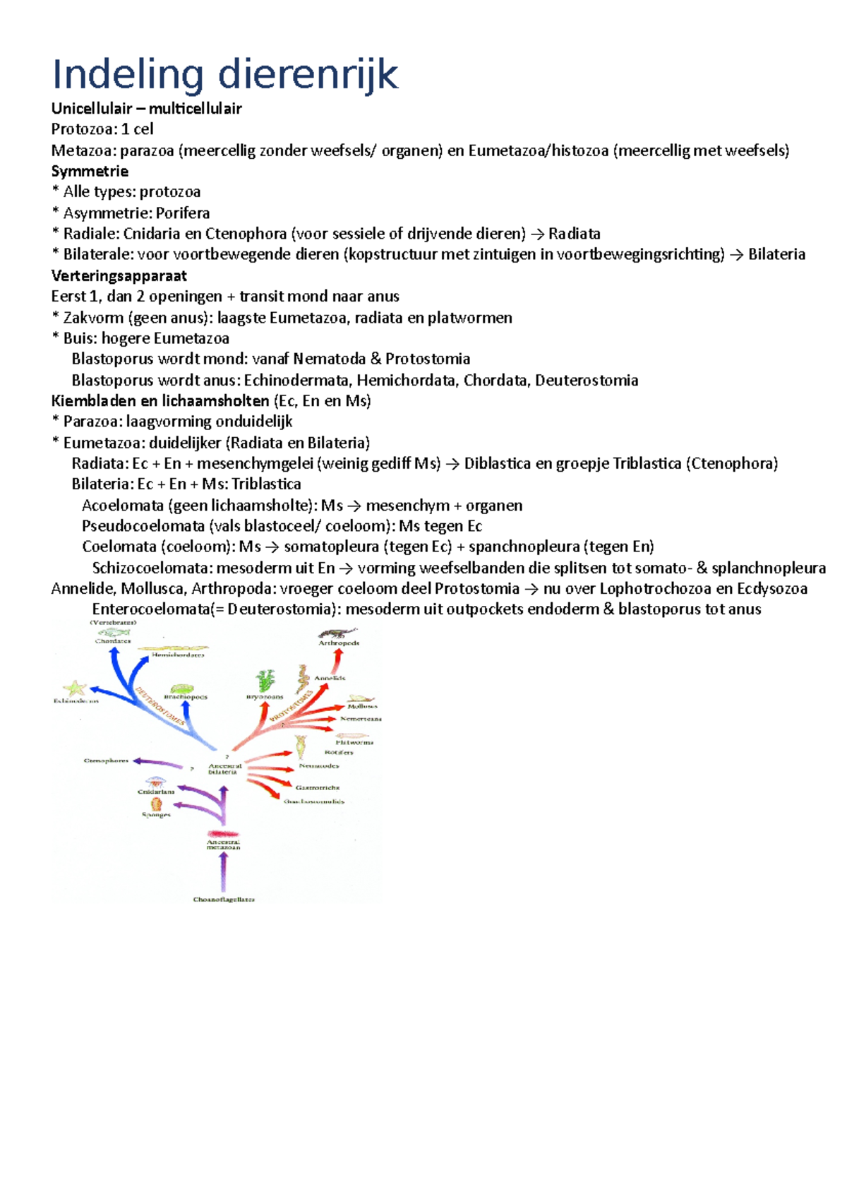 Dierkunde Deel III.1 Protozoa - Indeling dierenrijk Unicellulair ...